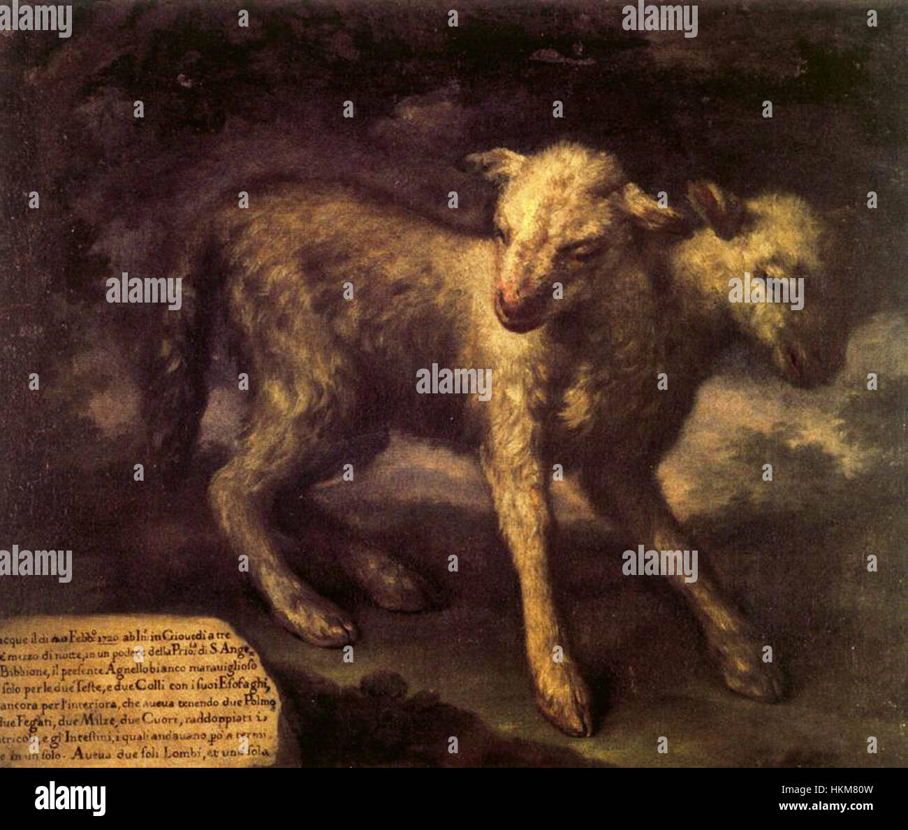Bartolomeo Bimbi's painting 'Two-Headed Lamb' explores the genre of ...