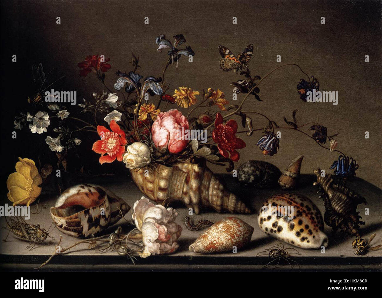 Balthasar van der Ast’s *Still-Life of Flowers, Shells, and Insects ...