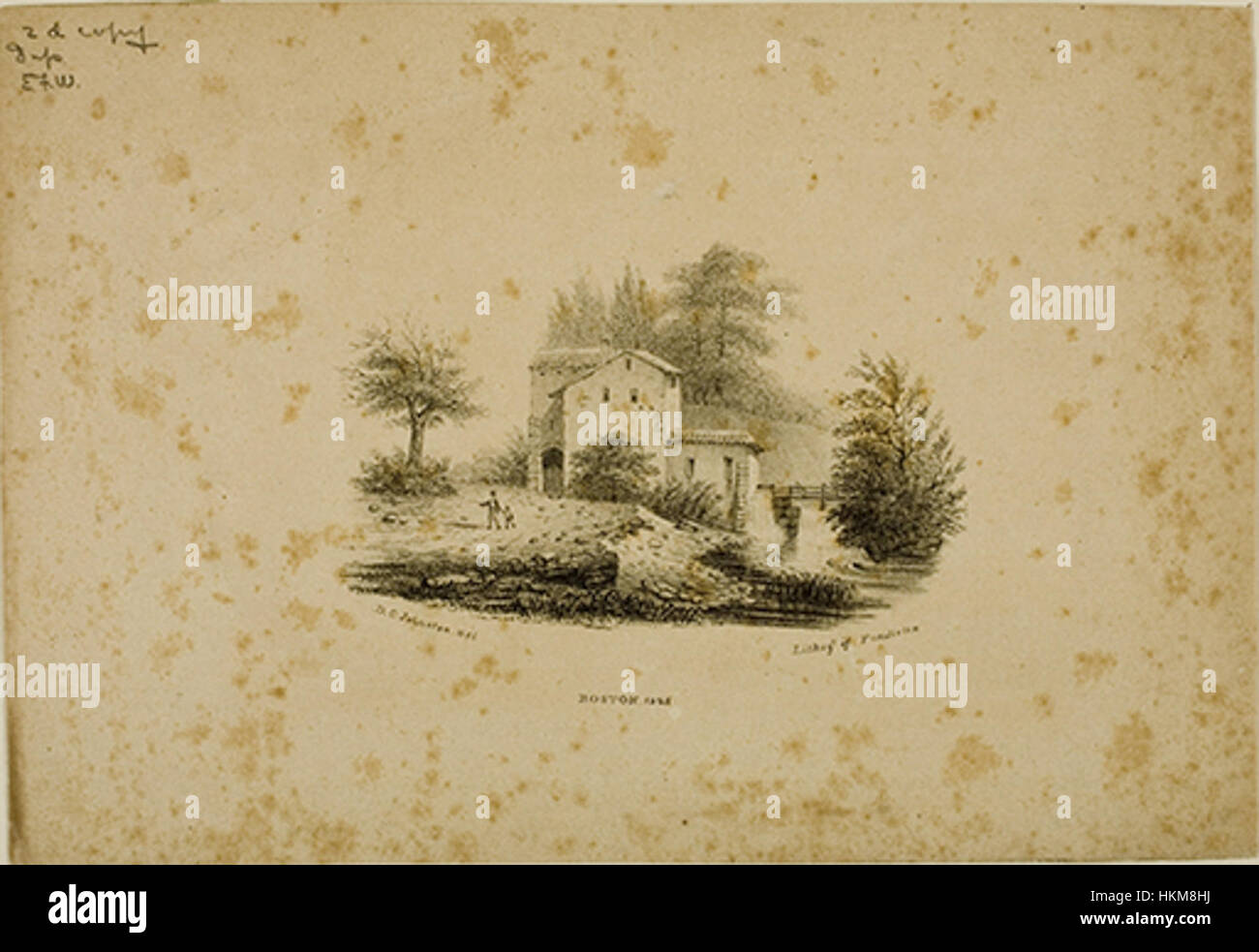 Boston harvard museum hi-res stock photography and images - Alamy