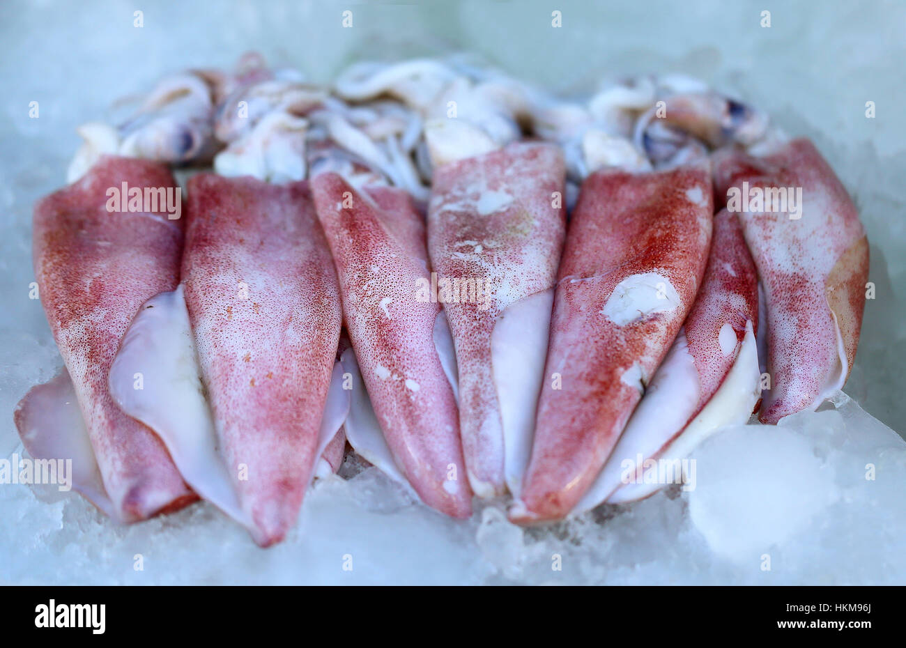 Squid legs hi-res stock photography and images - Alamy
