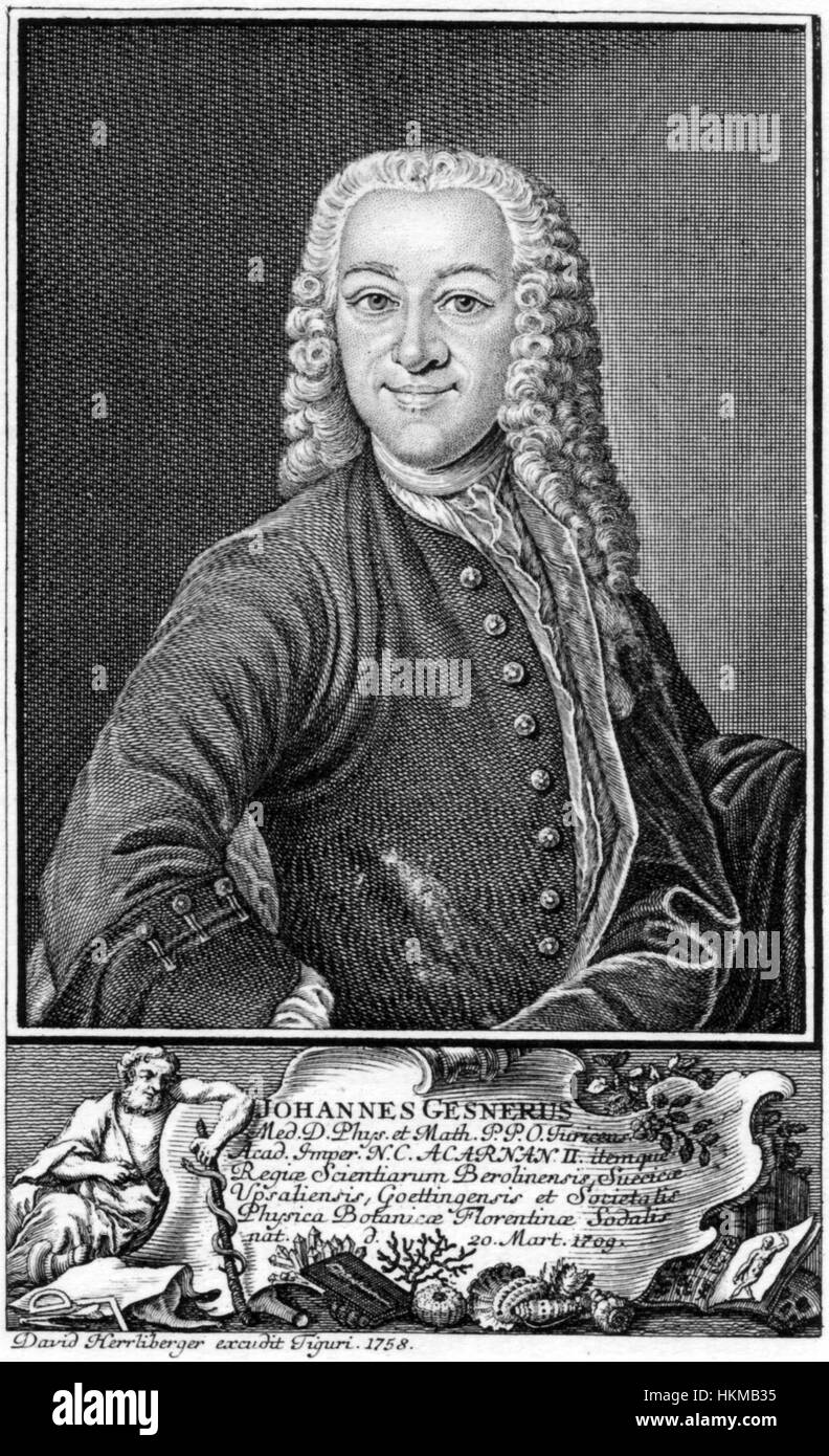 Gessner Drawing High Resolution Stock Photography and Images - Alamy