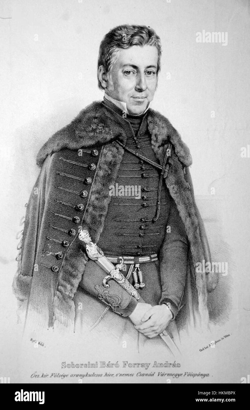 *Andreas Forray Litho* is a lithograph print by the artist Andreas ...