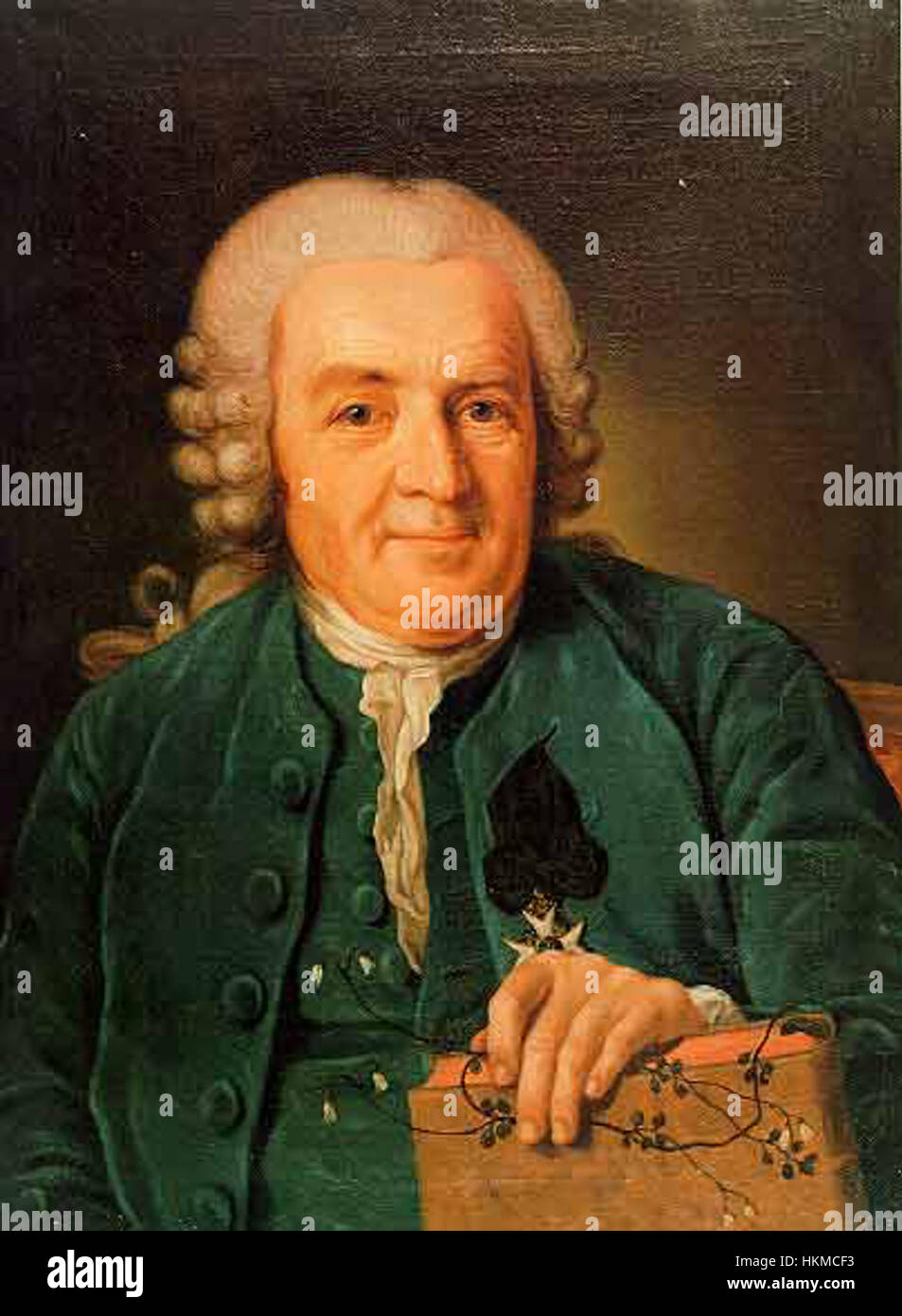 This portrait of Carolus Linnaeus, a pioneering Swedish botanist ...