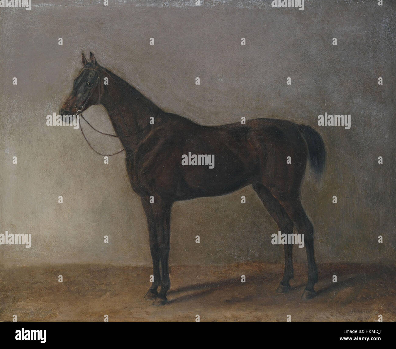 Albrecht Adam Brauner Wallachâ€™s art exemplifies classic European ...