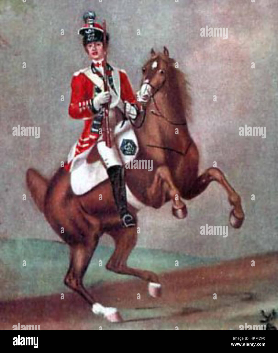 Light dragoons hi-res stock photography and images - Alamy