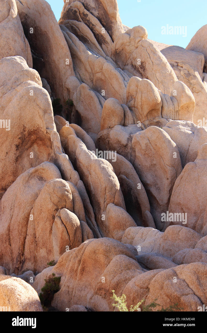 Joshua tree with large rocks hi-res stock photography and images - Alamy