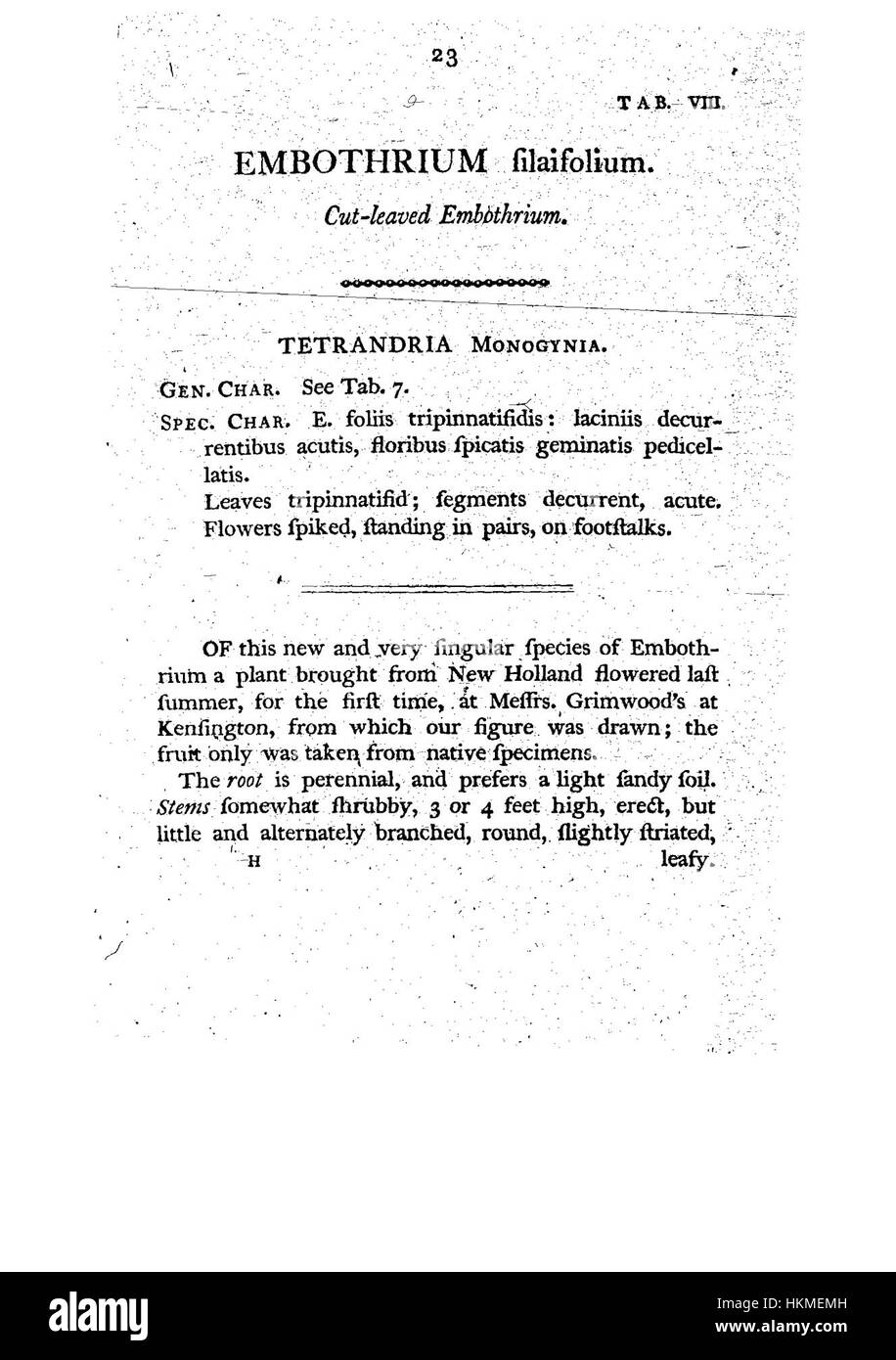 Early colonial era Cut Out Stock Images & Pictures - Alamy