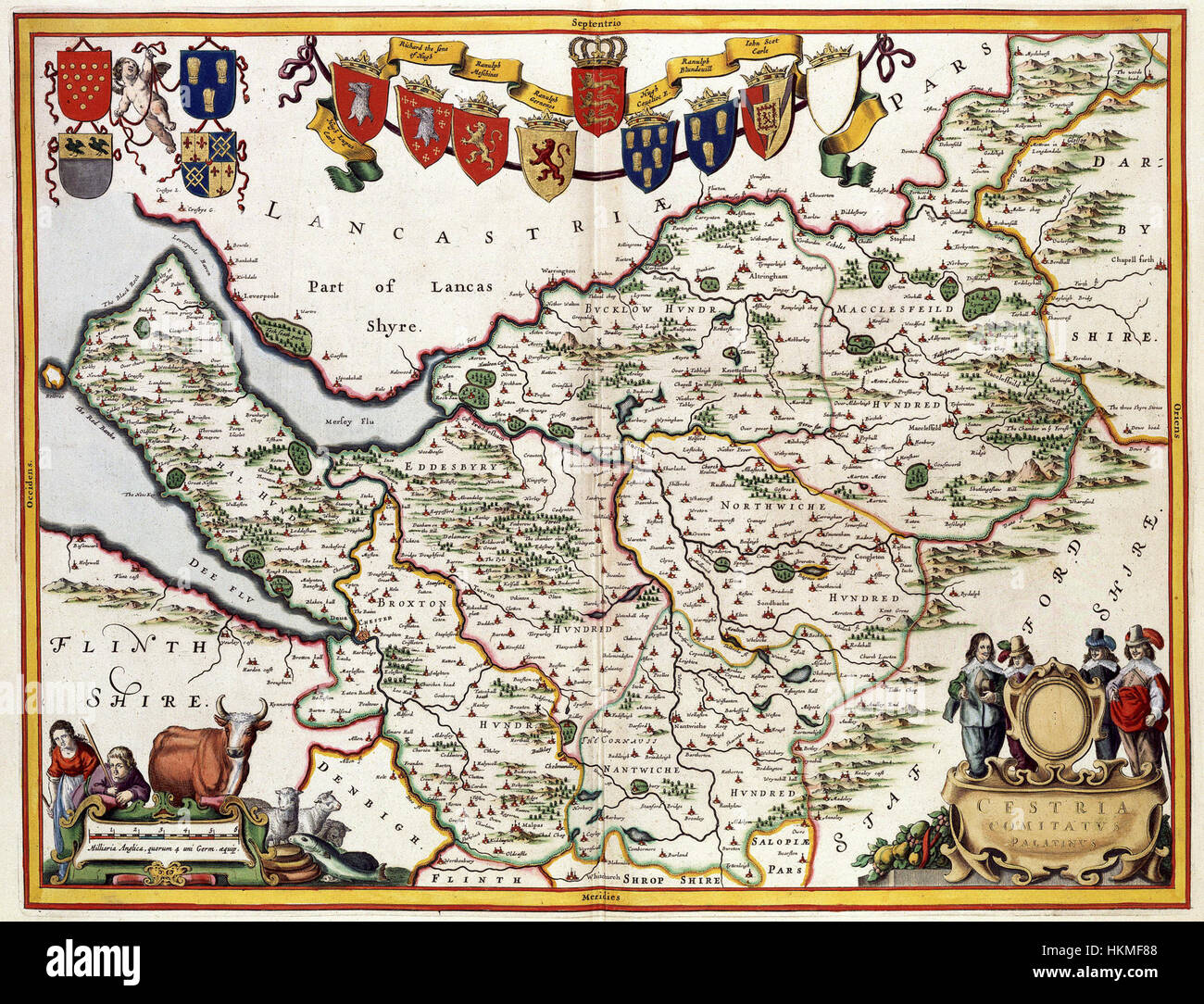 Cestria hi-res stock photography and images - Alamy