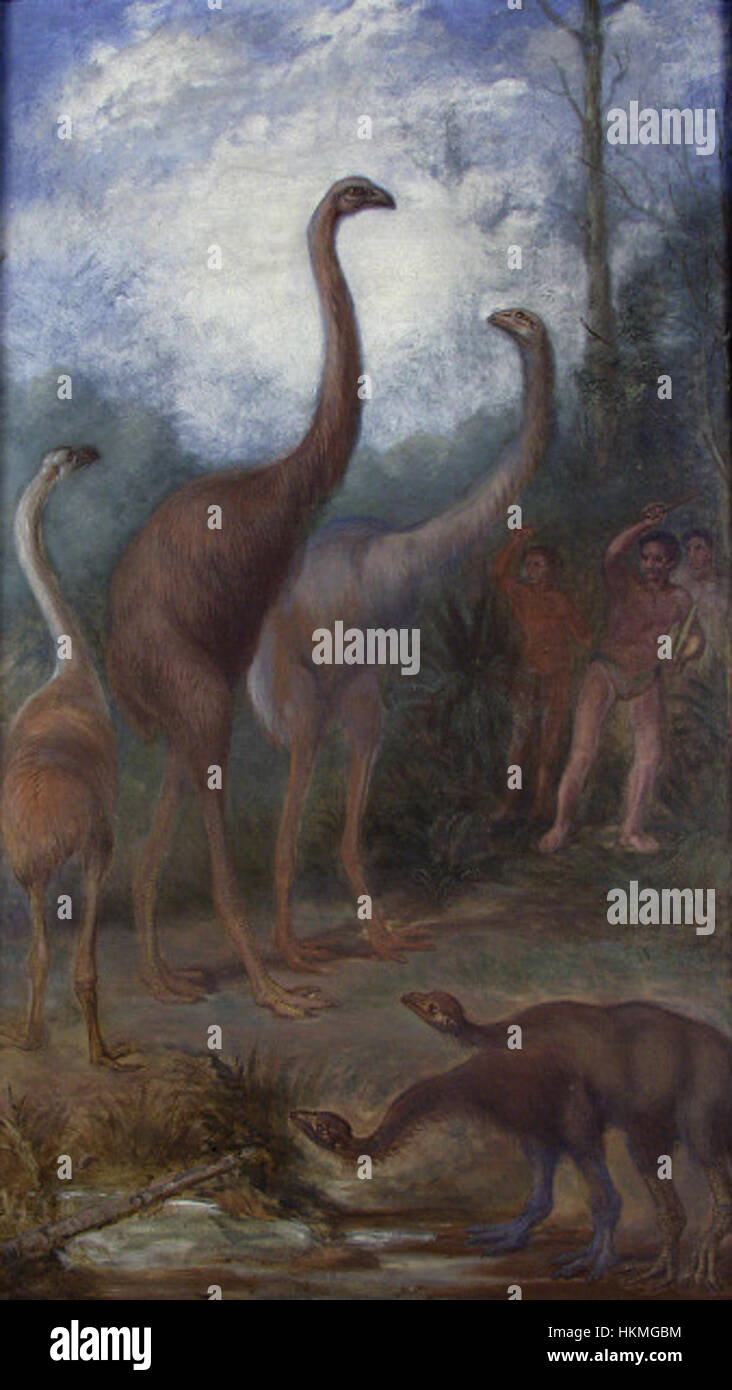 Benjamin Waterhouse Hawkins' painting illustrates the extinct Moa birds ...