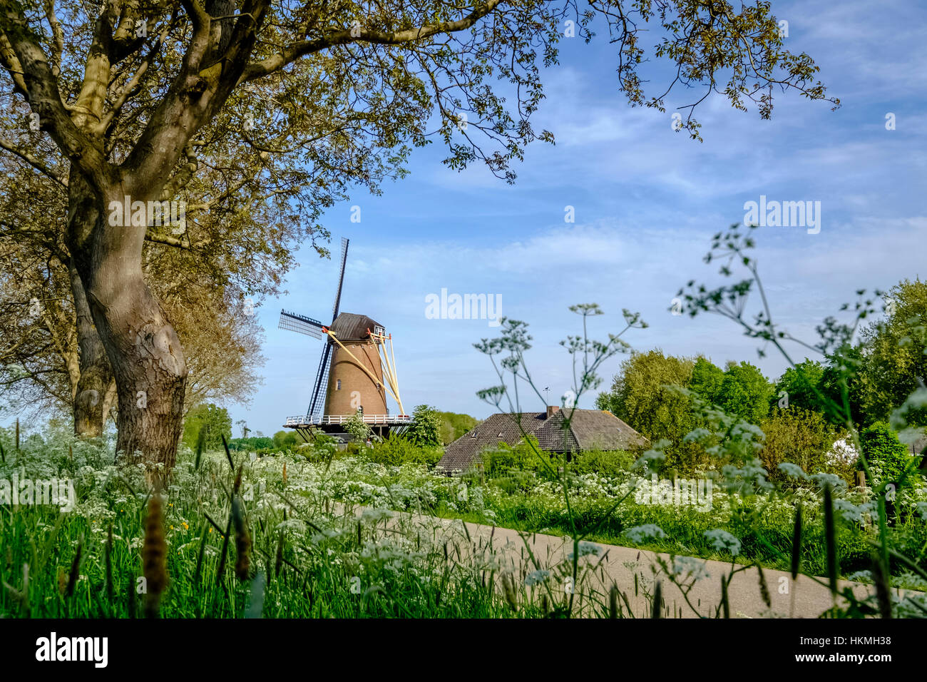 traditional Dutch windmill in a summer landscape with a blue sky and ...