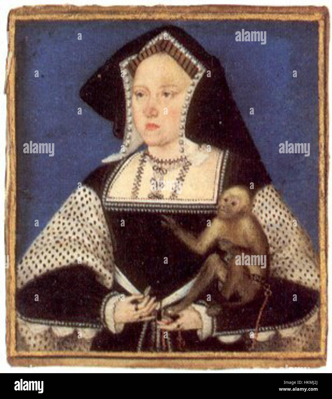 Catherine aragon monkey hi-res stock photography and images - Alamy