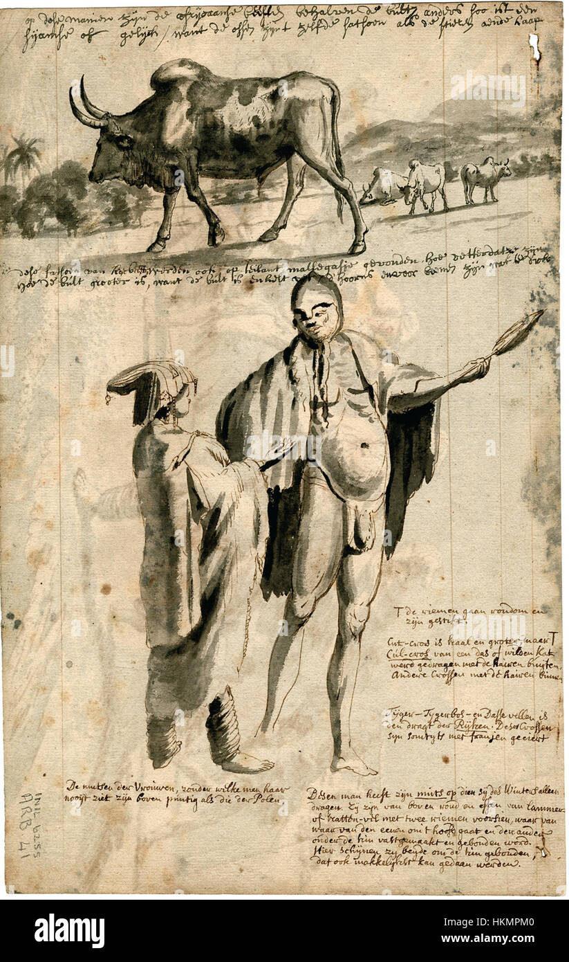 African Ox High Resolution Stock Photography and Images - Alamy