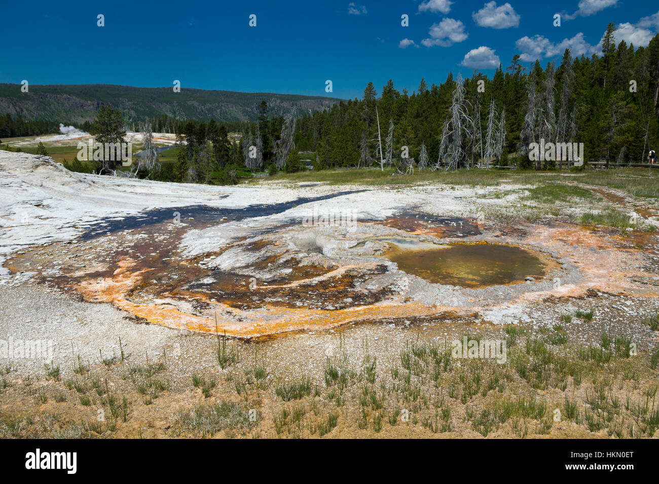 Geyser Hill, Upper Geyser Basin, Yellowstone National Park, Wyoming ...
