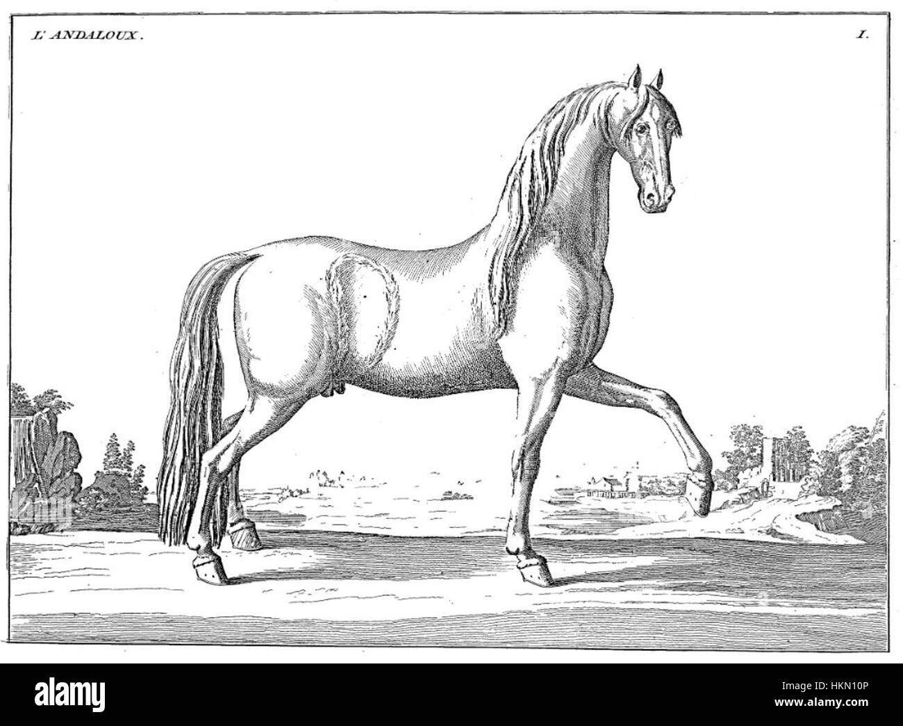 Baron d hi-res stock photography and images - Alamy