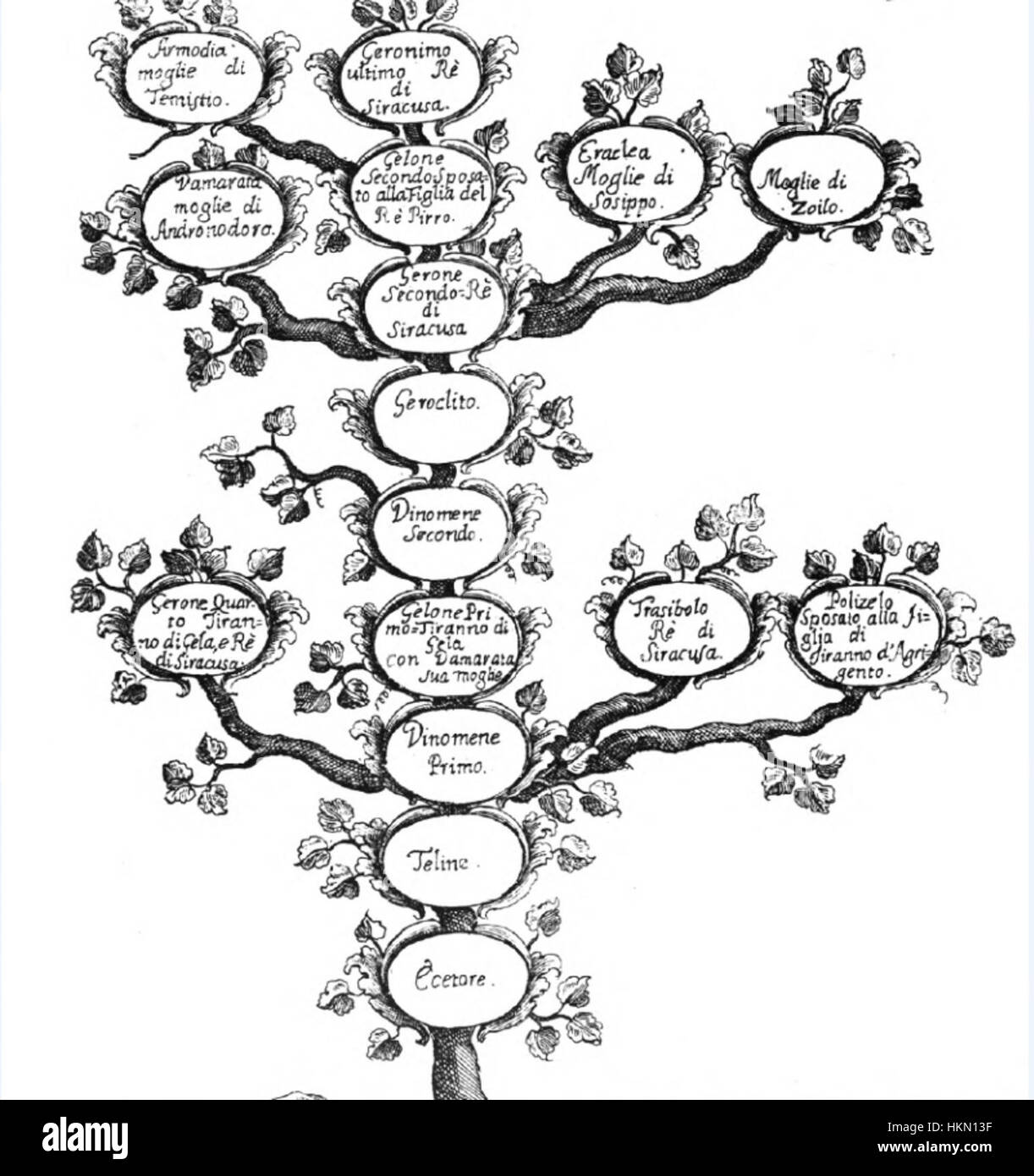 Immagini Dell'albero Genealogico In Bianco E Nero