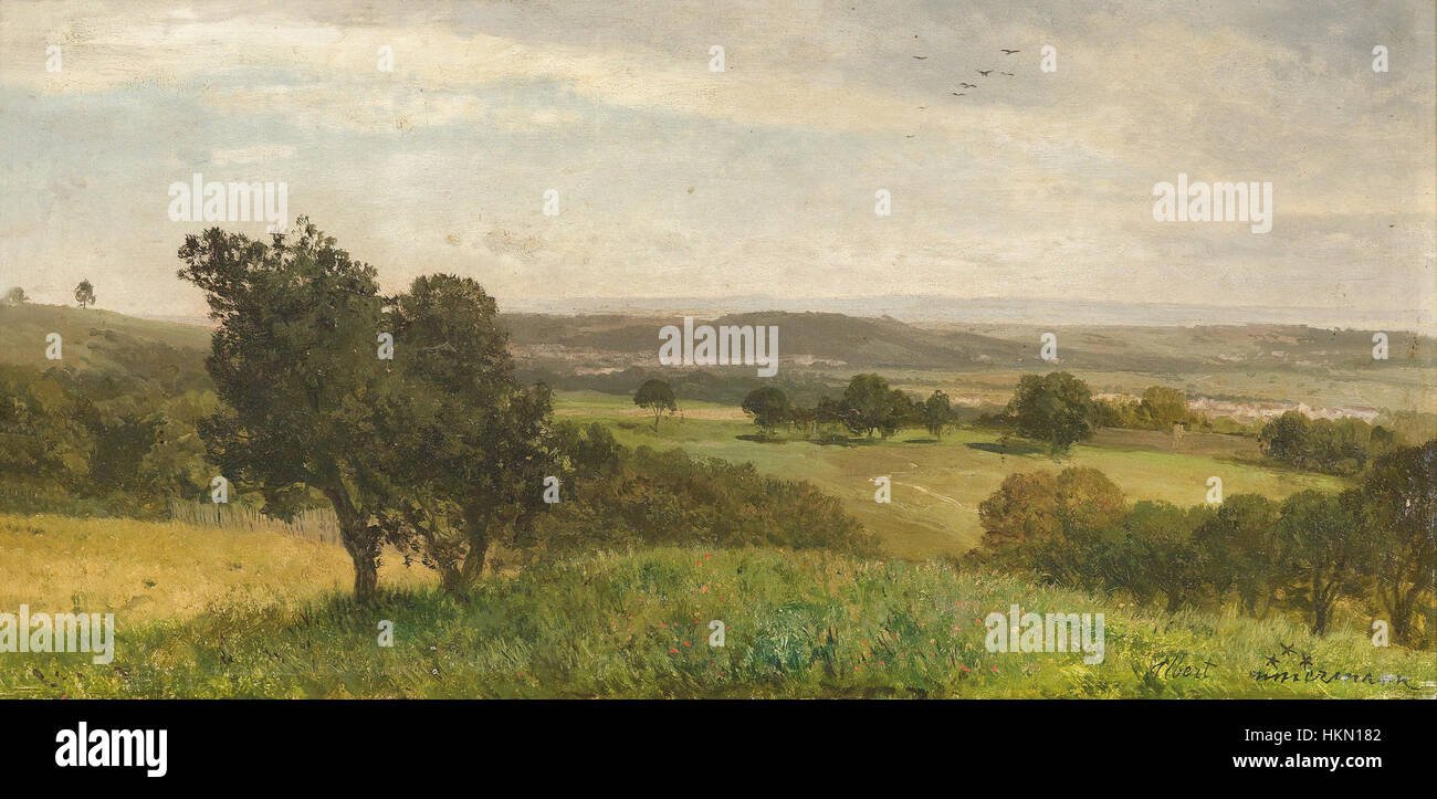 Albert Zimmermann High Resolution Stock Photography and Images - Alamy