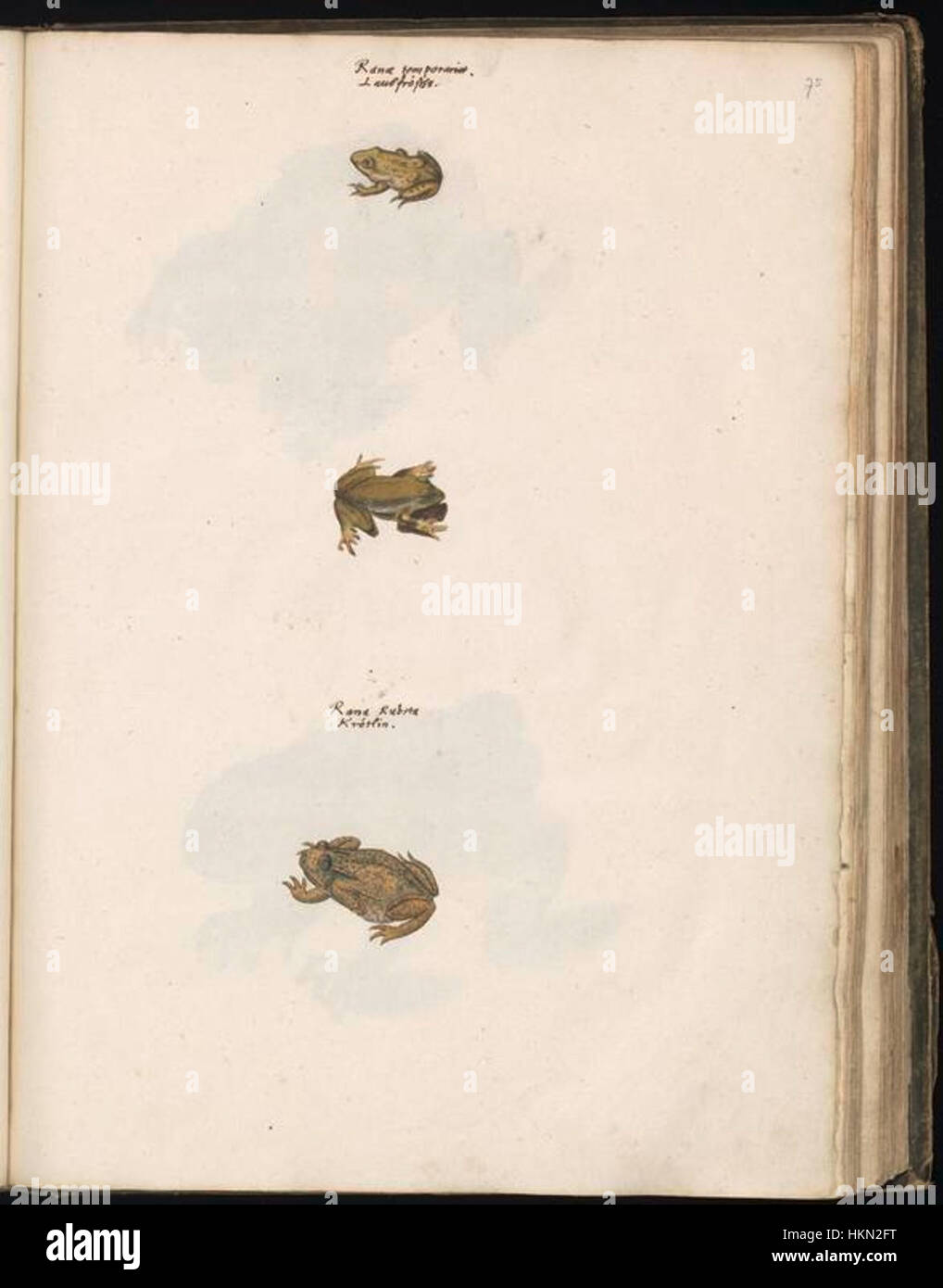 Felix Platter, a 16th-century Swiss physician, compiled a collection of ...
