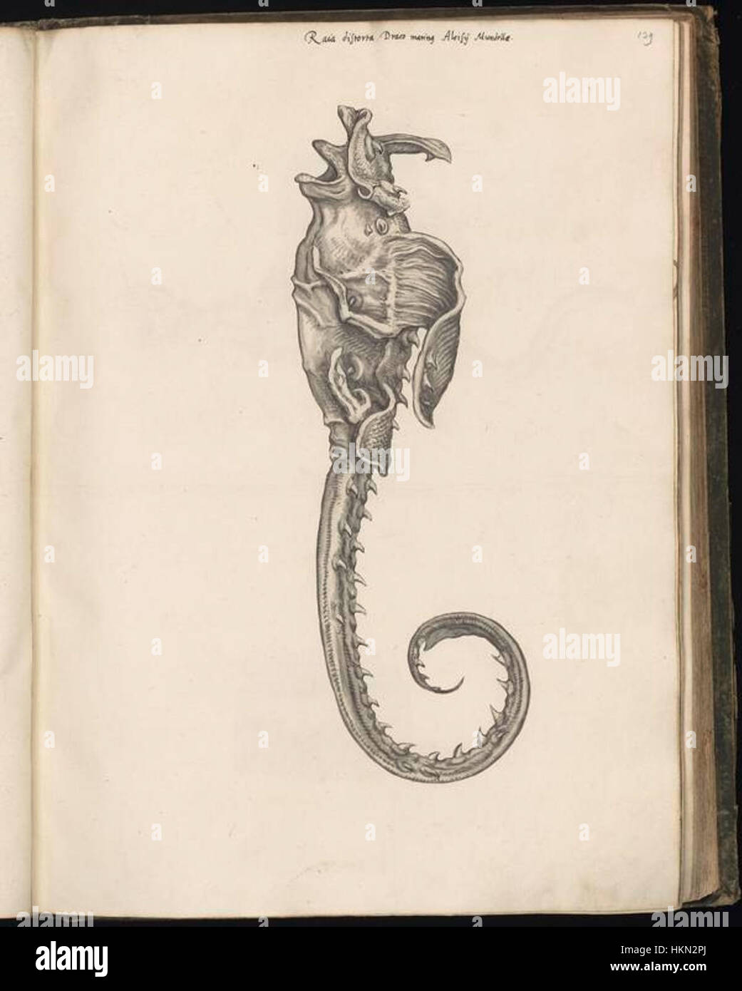 These animal drawings, collected by Felix Platter, are an important ...