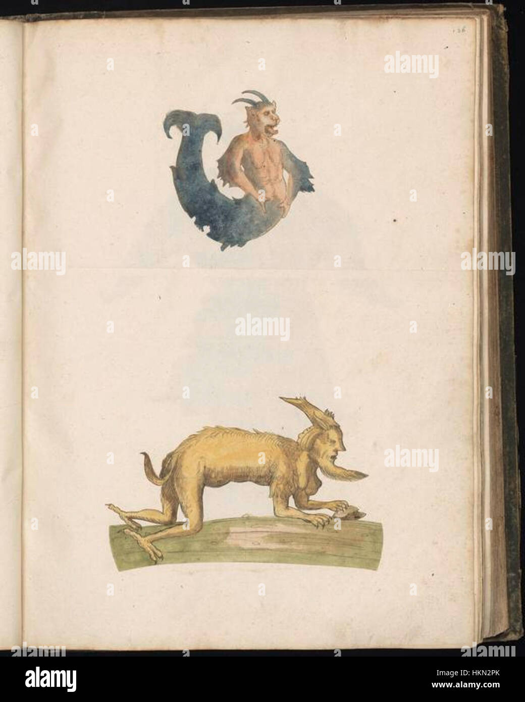 Felix Platter's collection of animal drawings showcases his scientific ...