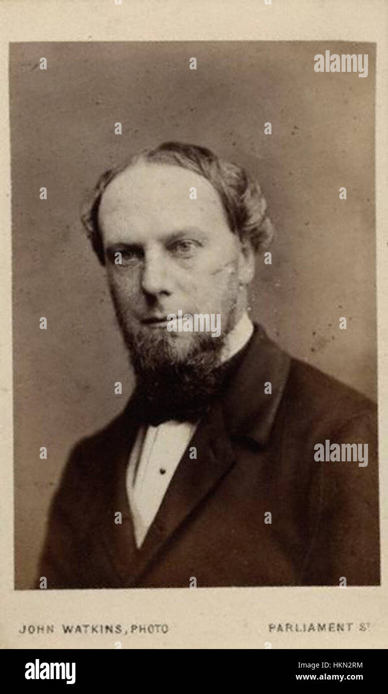 This portrait of the 1st Earl of Kimberley, painted in 1868, reflects ...