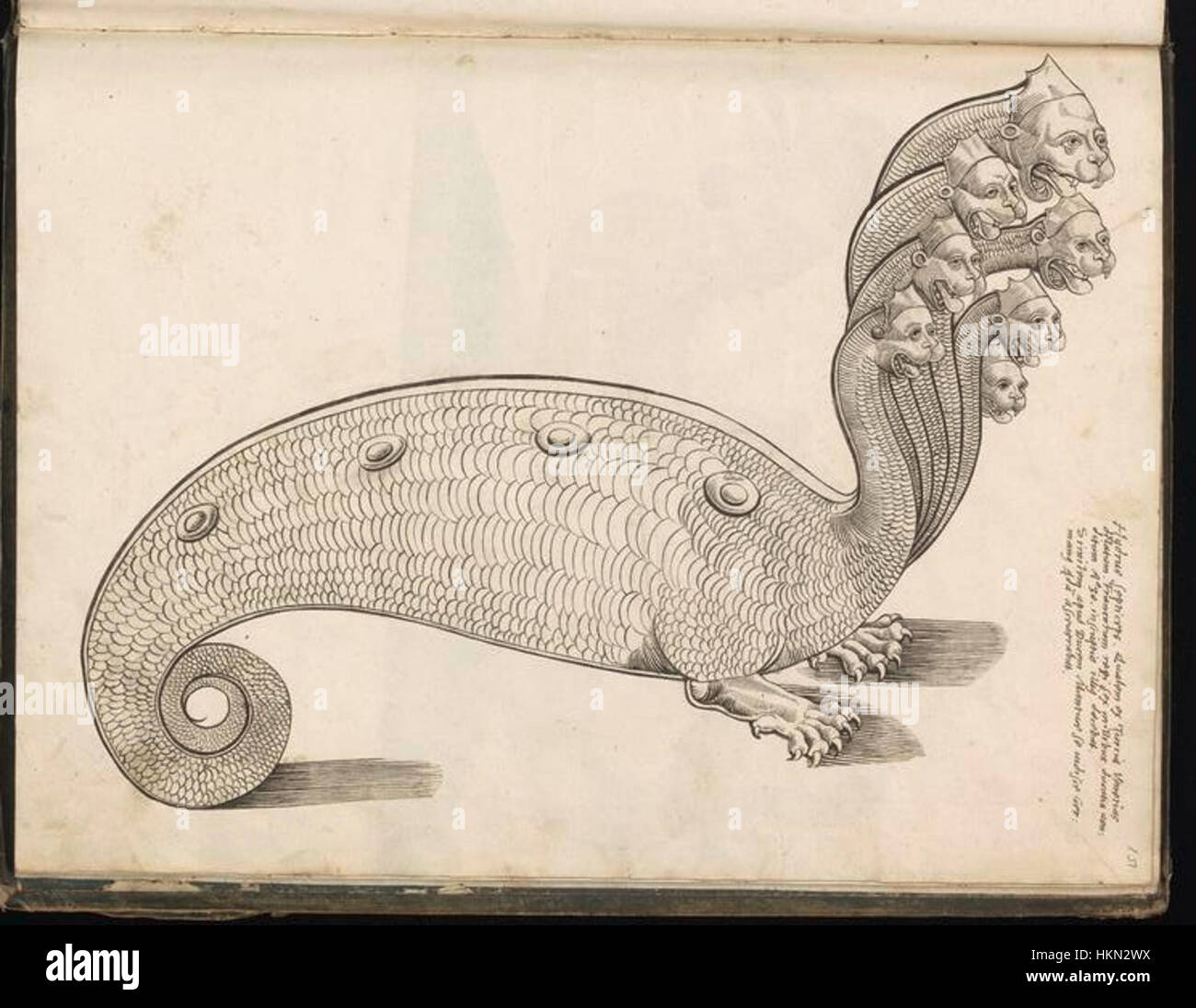 'Animal drawings collected by Felix Platter' showcases a series of ...