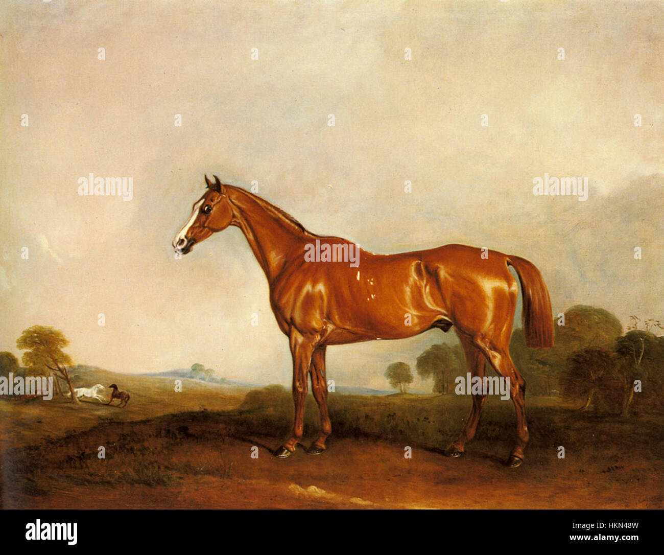 A painting depicting a chestnut hunter in a natural landscape ...