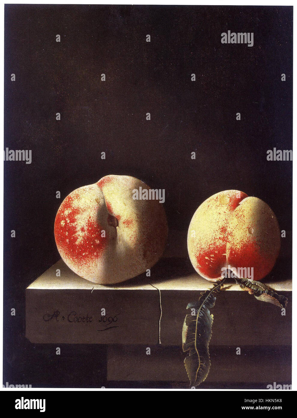 Adriaen Coorte's 'Two Peaches' is a famous 17th-century still-life ...