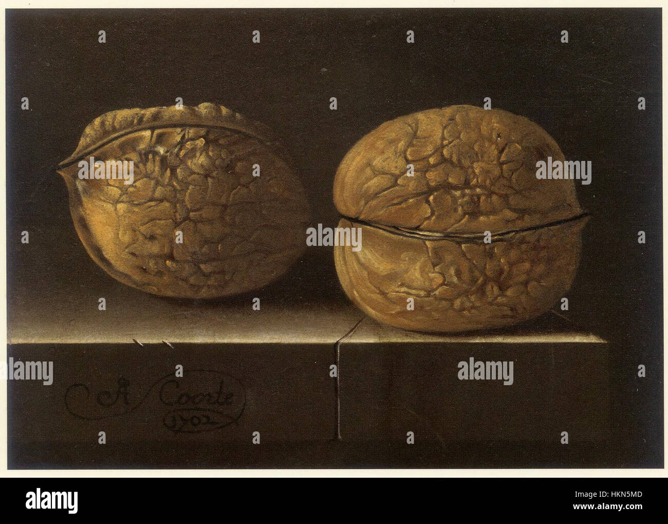 Adriaen Coorte’s painting 'Two Walnuts' captures a simple yet exquisite ...