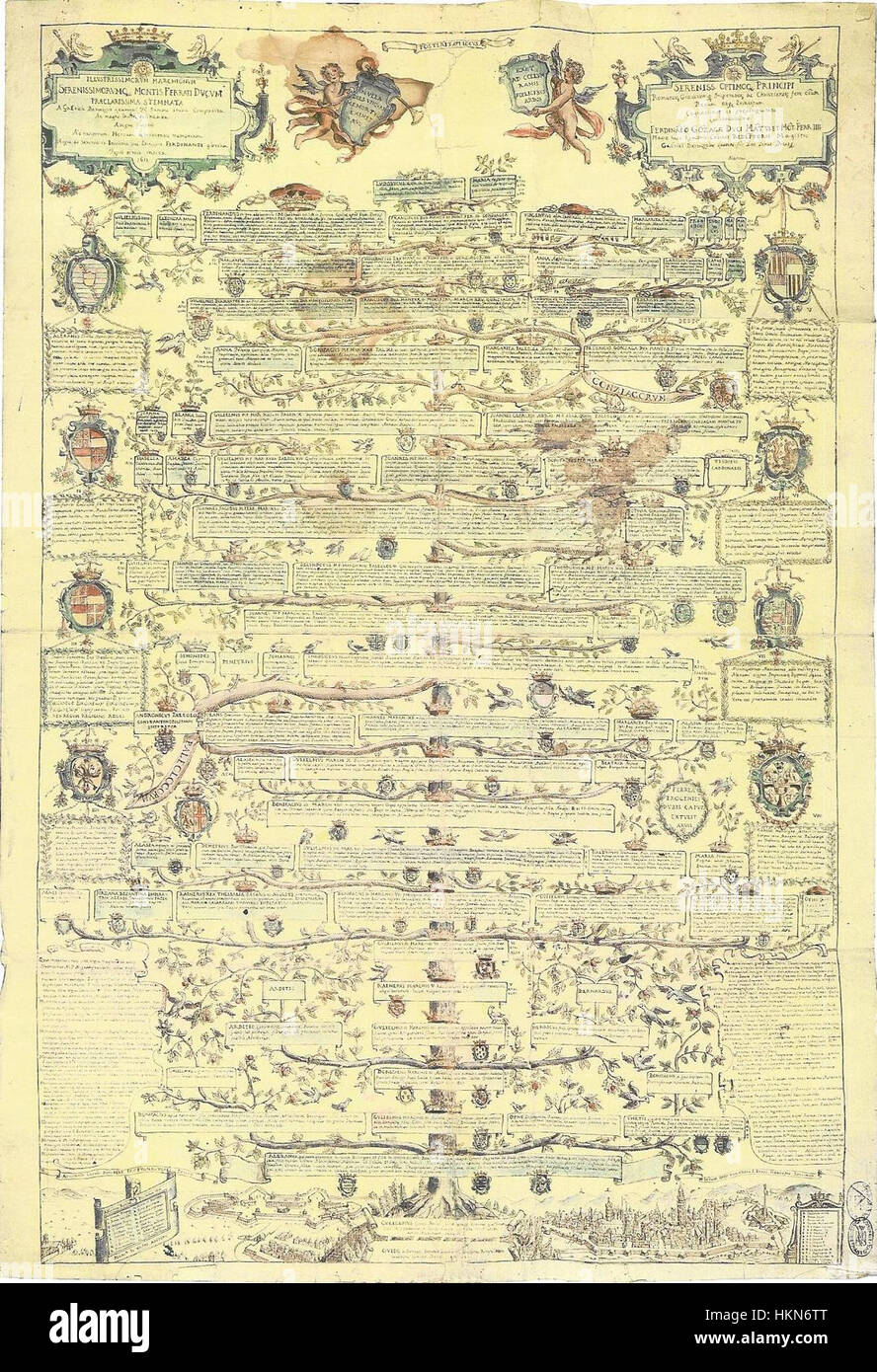 Family tree genealogy illustration hi-res stock photography and images ...