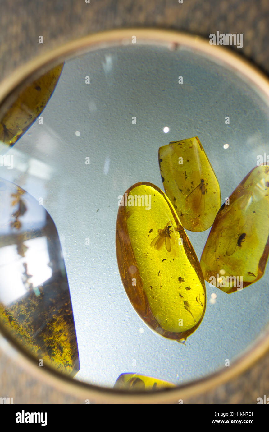 Stone inside a glass hi-res stock photography and images - Alamy