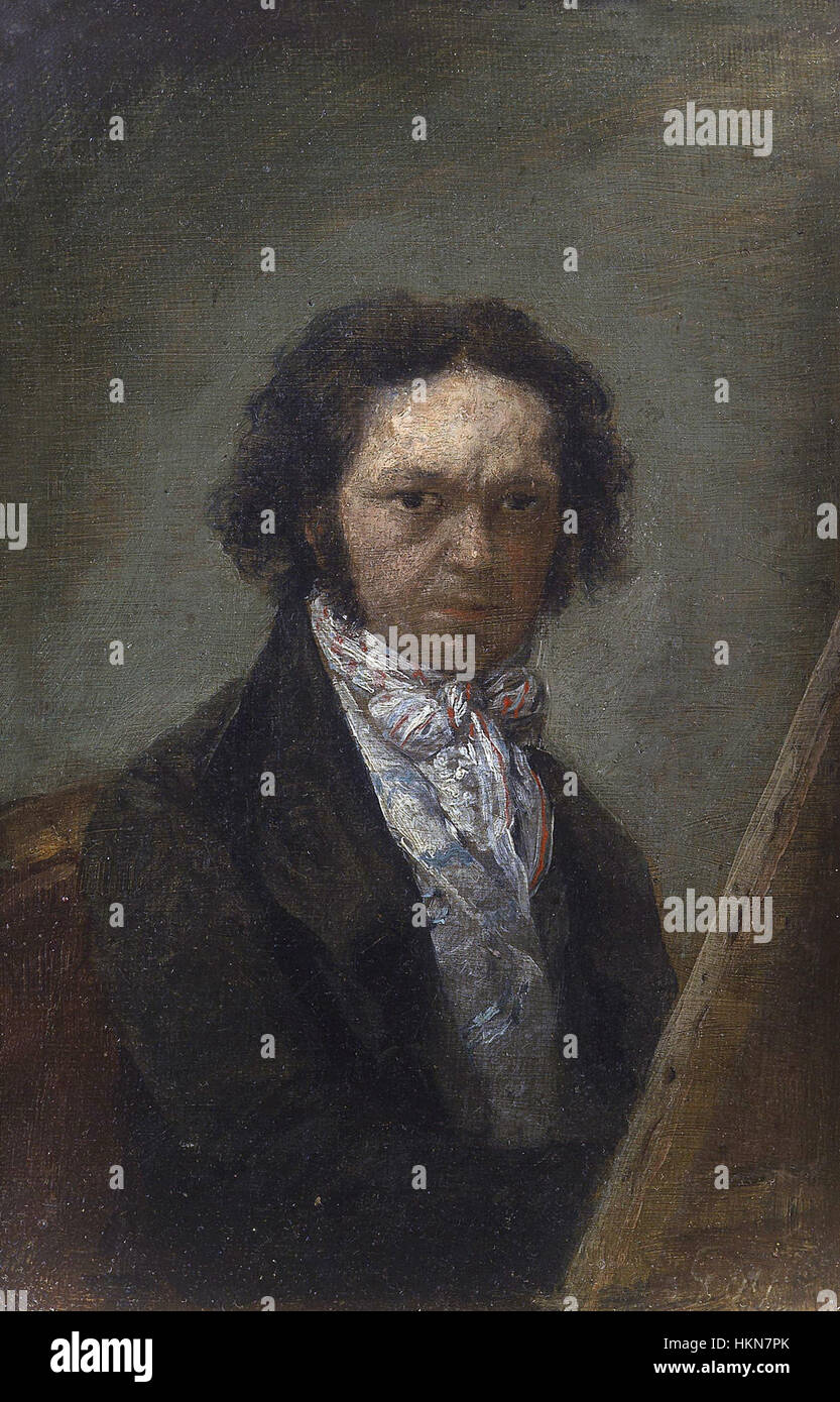 The *Autorretrato de Goya* (1795), or *Self-portrait* by Francisco de ...