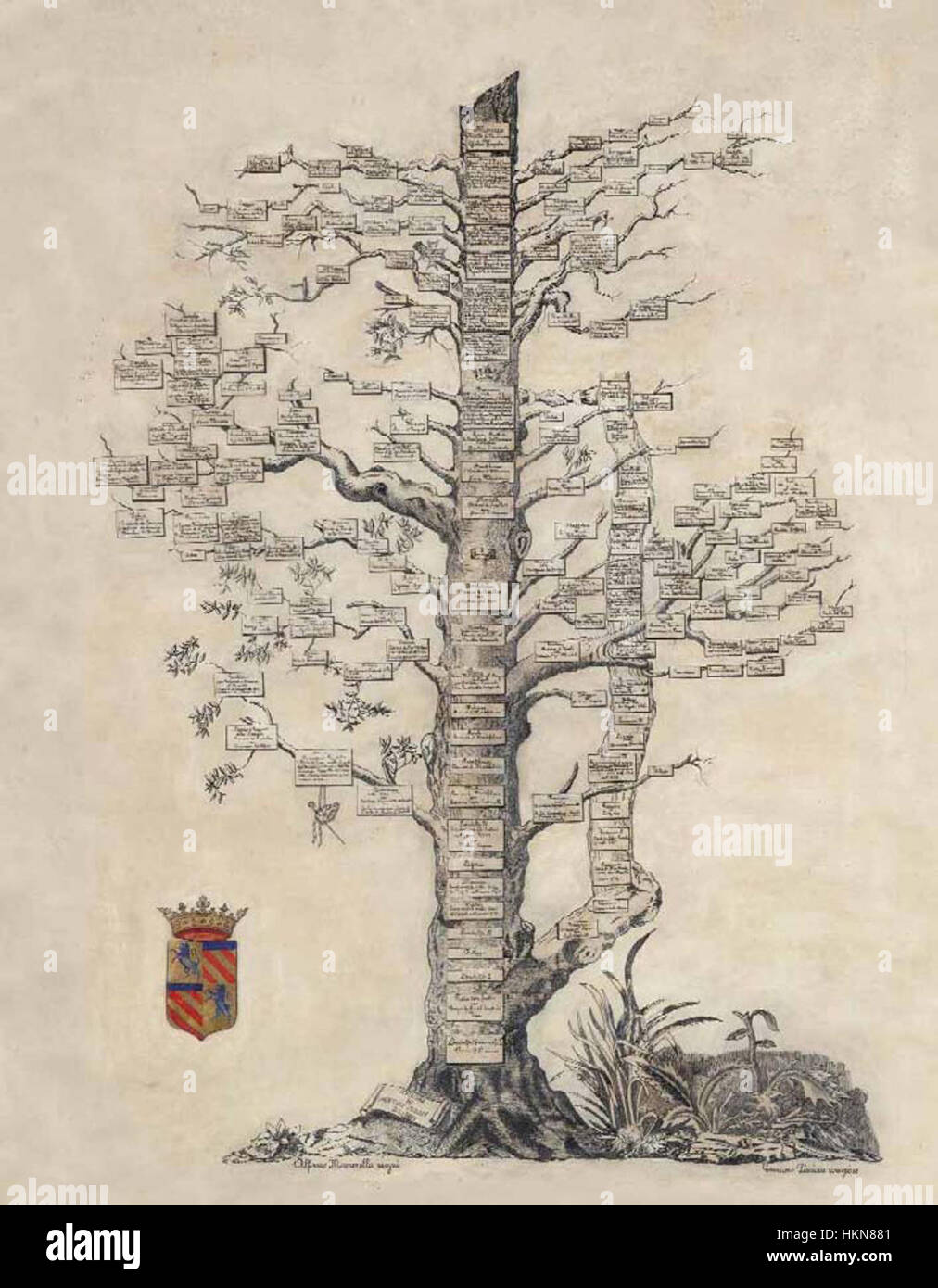 This artwork is a genealogical tree depicting the noble Caracciolo ...