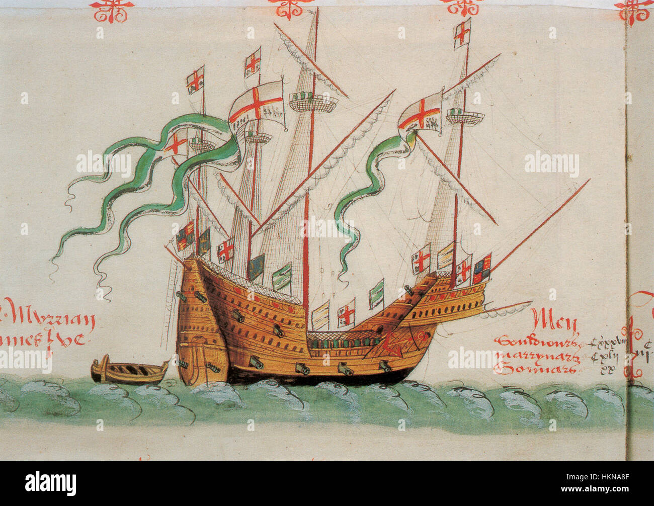 Morian hi-res stock photography and images - Alamy