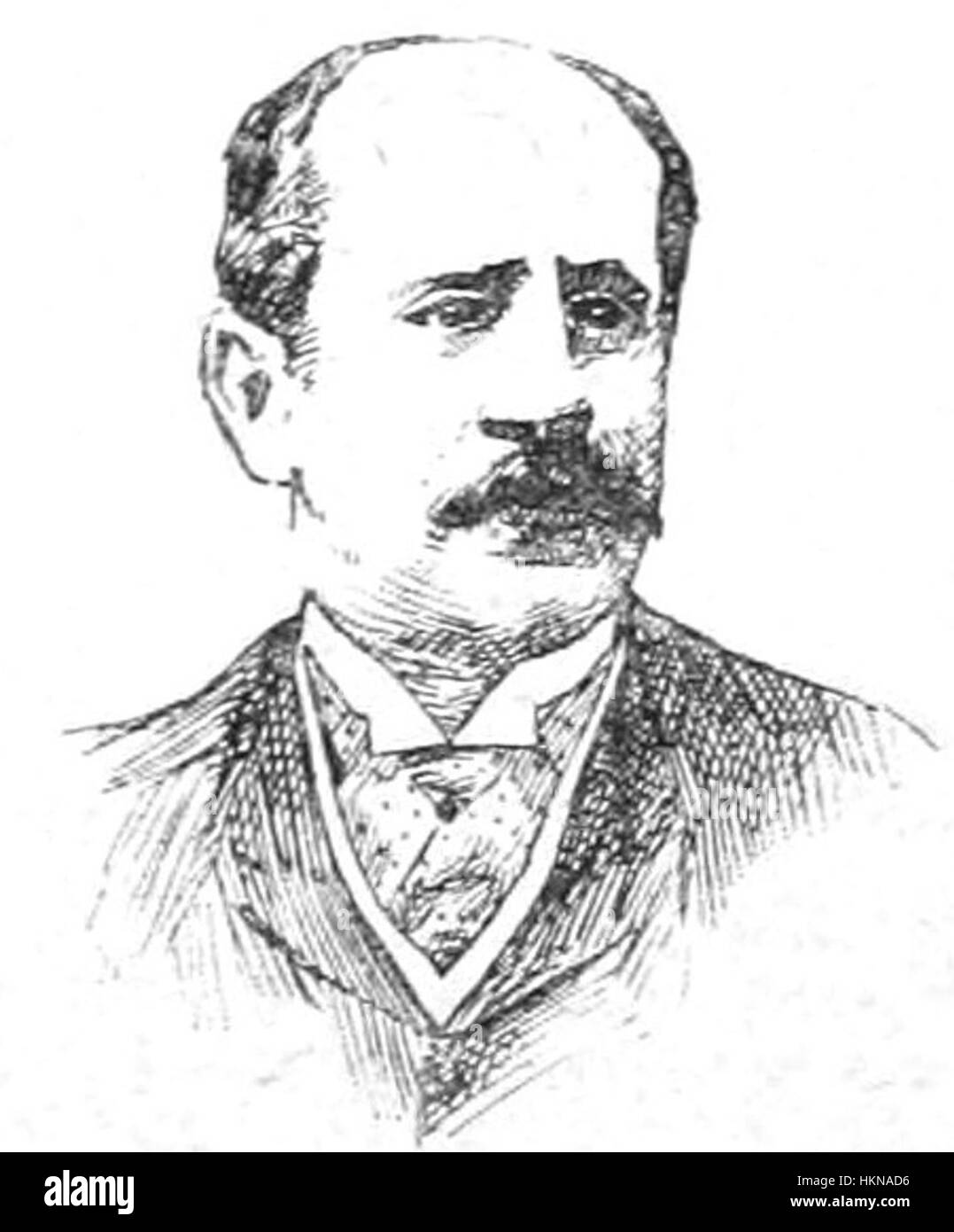 Refined portraiture Cut Out Stock Images & Pictures - Alamy