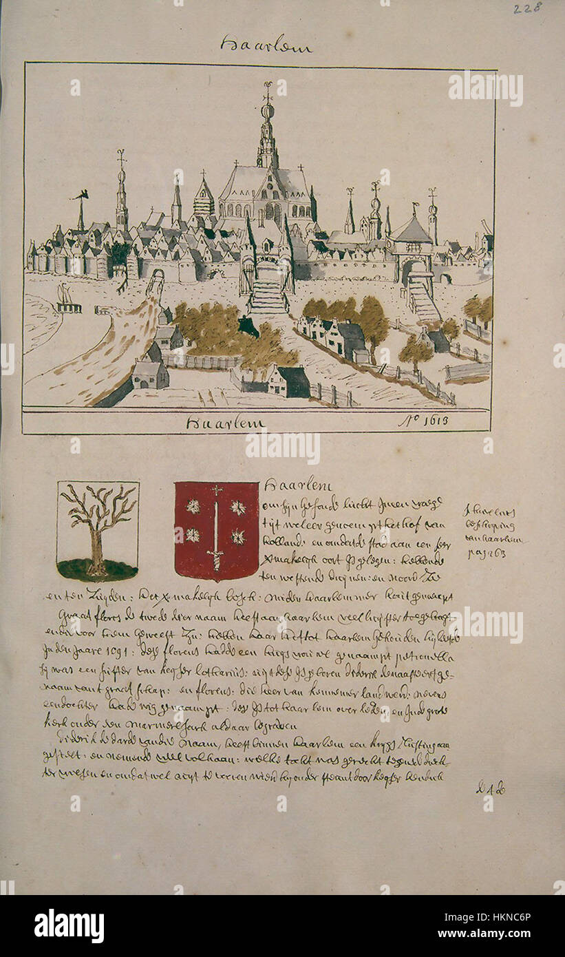 This 17th-century map of Noord-Holland and Haarlem, part of the Atlas ...