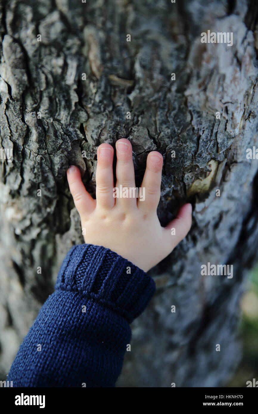 Boy touching tree trunk hi-res stock photography and images - Alamy
