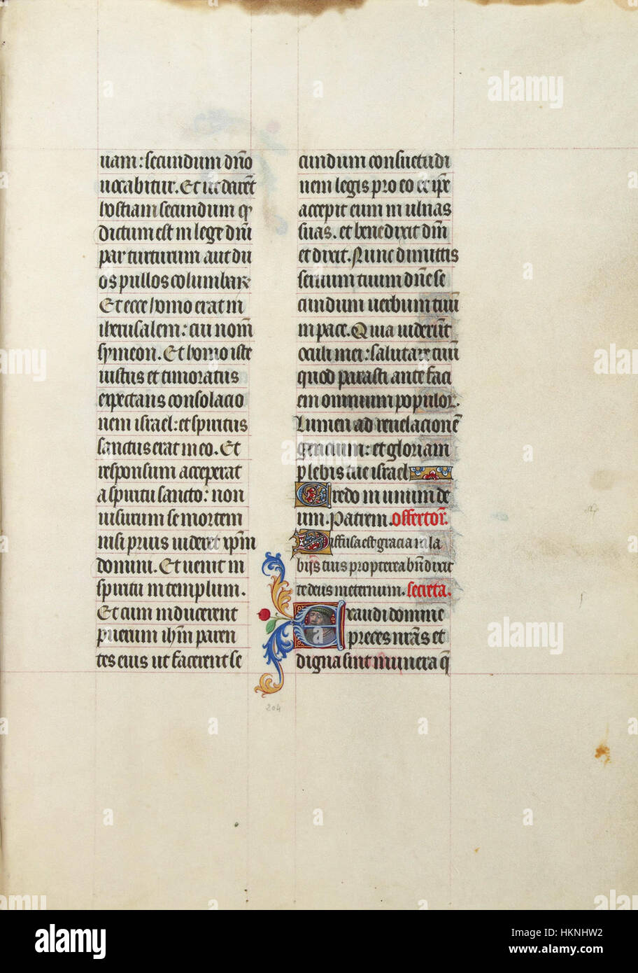 '411 MS 65 F204' is a unique numismatic artwork depicting a specific ...