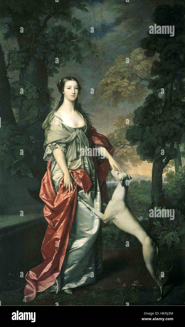 This portrait of Elizabeth Gunning captures the elegance and ...