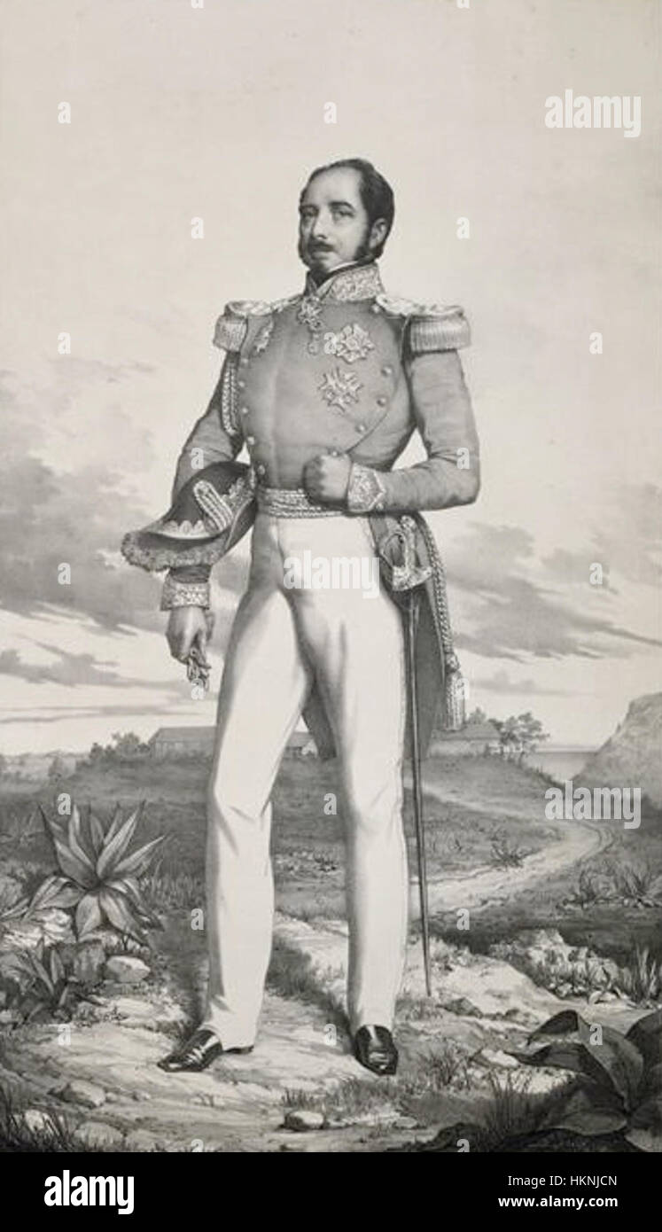 Baron Gaspard Gourgaud was a French general and confidant of Napoleon ...