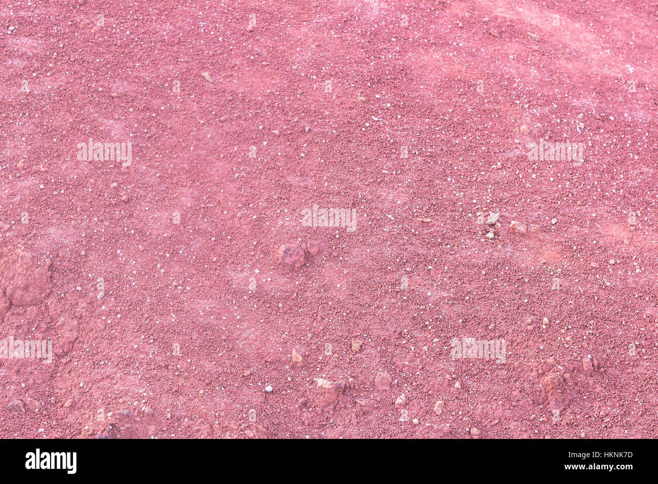 Tropical ground hi-res stock photography and images - Alamy