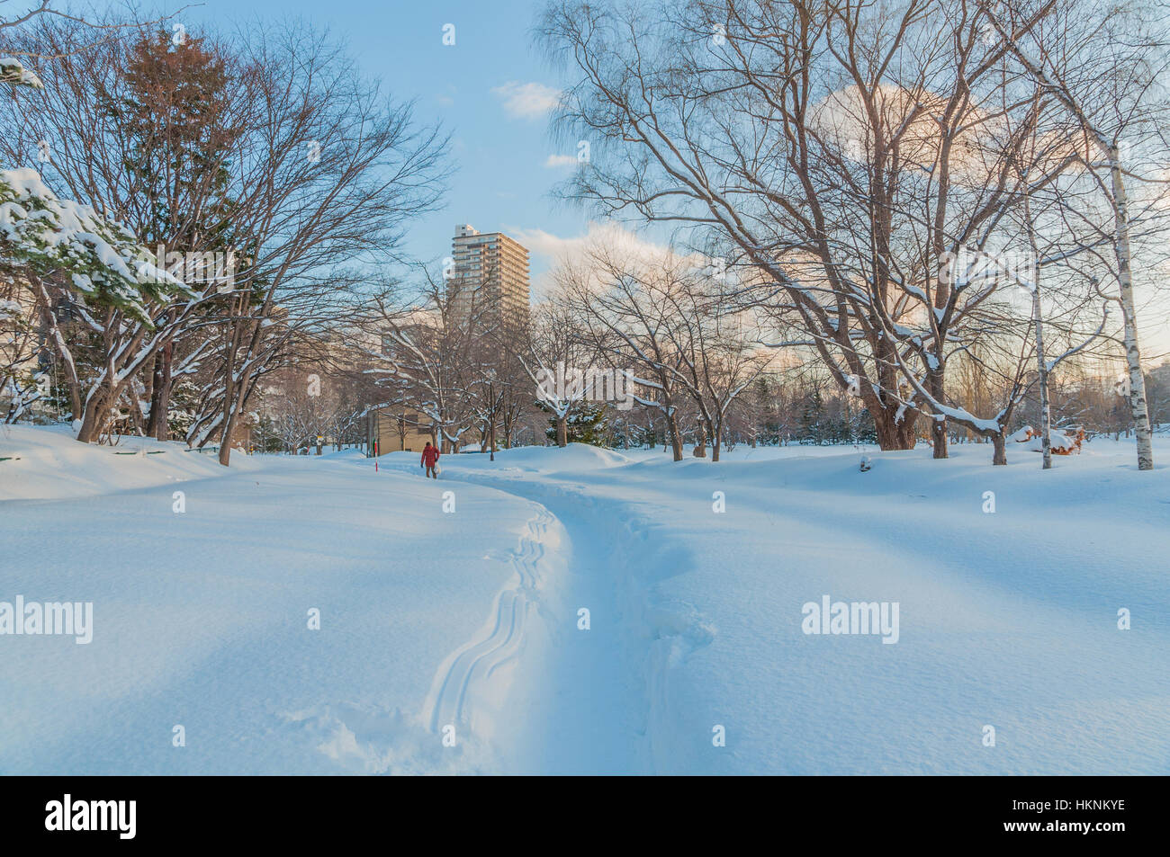 Sapporo city hi-res stock photography and images - Alamy