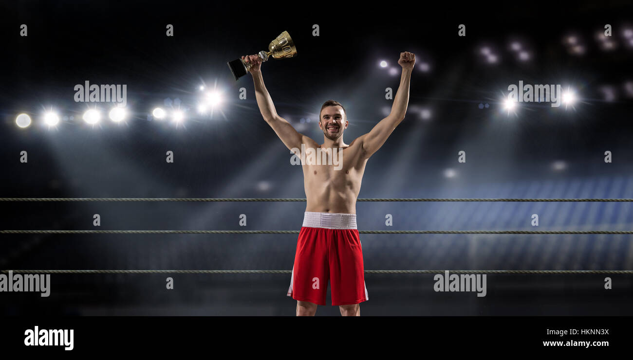 Professional box fighter on grand arena. Mixed media Stock Photo - Alamy