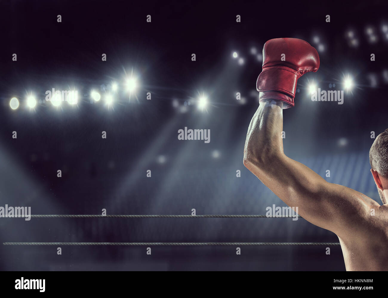 Professional box fighter on grand arena. Mixed media Stock Photo - Alamy