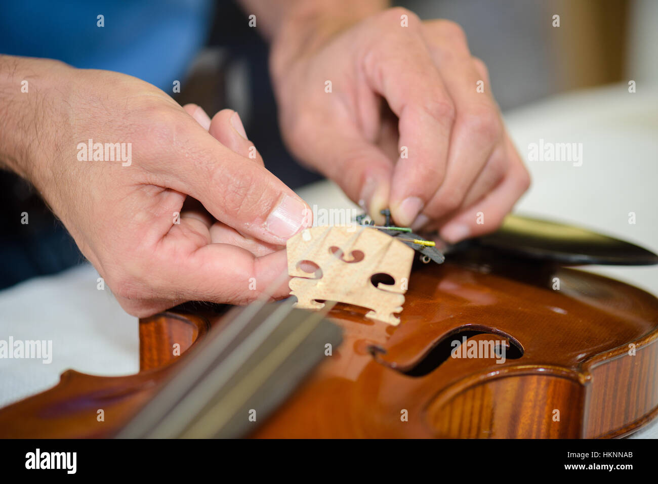 connecting the violin bridge Stock Photo - Alamy