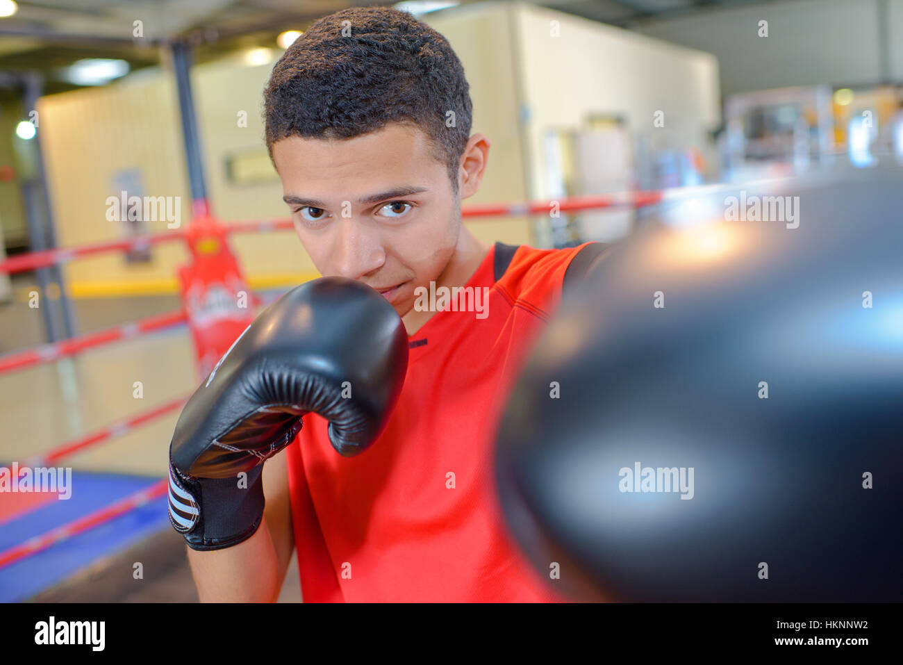 Young man boxing Stock Photo - Alamy