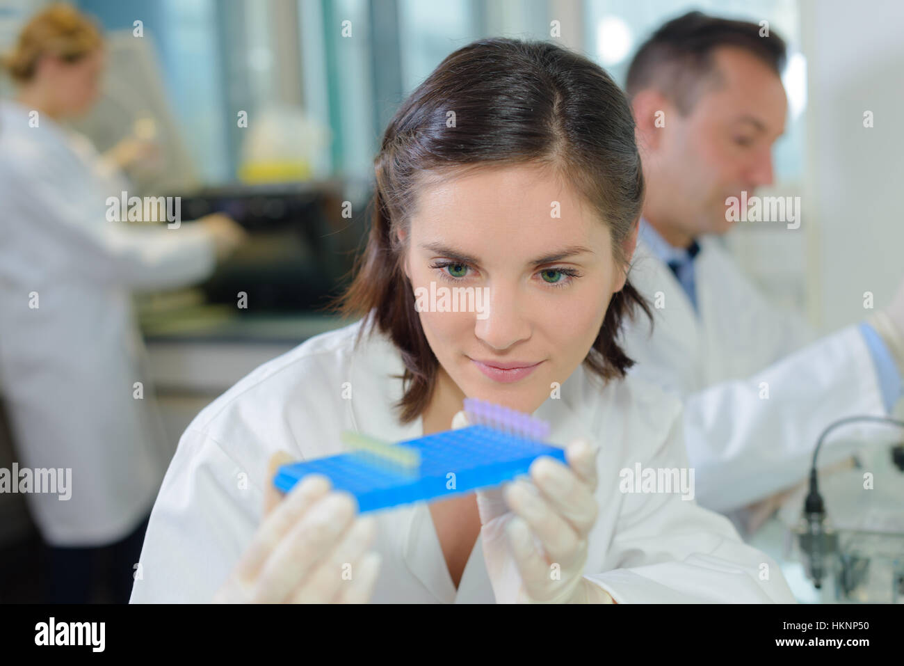Female lab technician looking at samples Stock Photo - Alamy