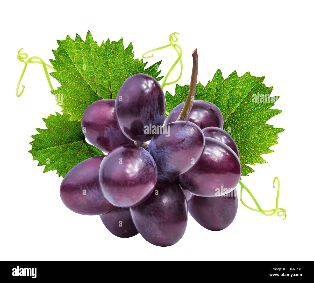 grapes isolated on the white background Stock Photo - Alamy
