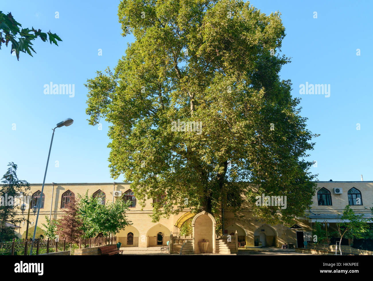 Juma Mosque - the most ancient mosque in Russia. Old trees Platanus ...