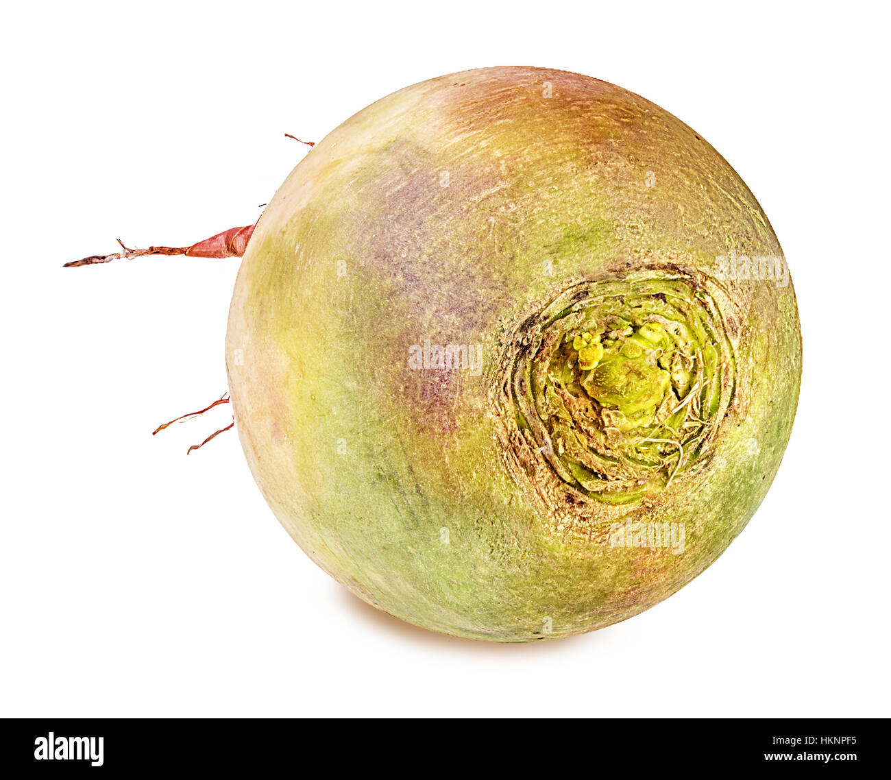 radish isolated on white background Stock Photo - Alamy