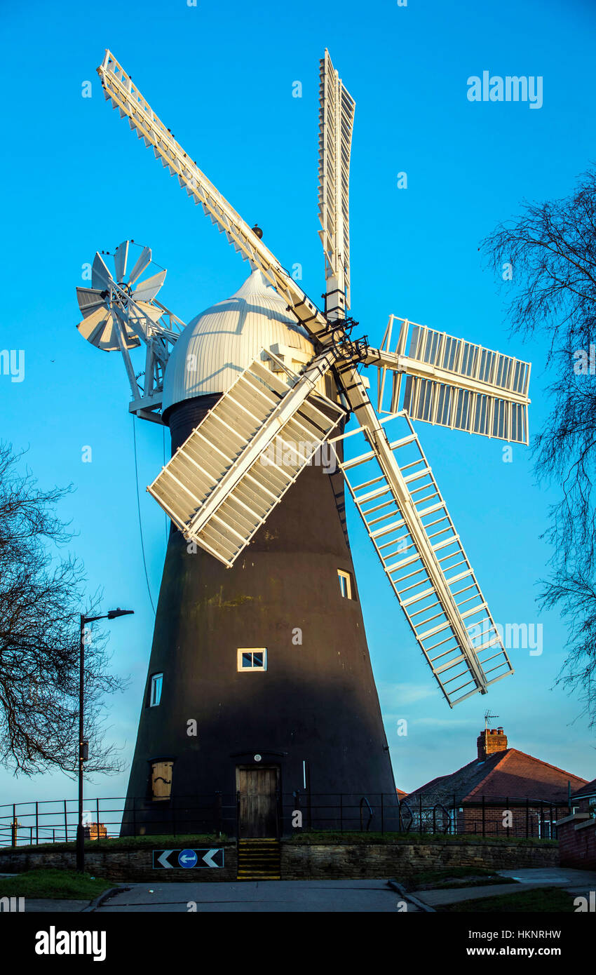 A general view of the Holgate Windmill, the oldest working windmill in ...